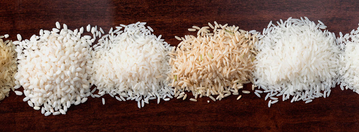 Различие риса. Рис Кенджа. Длинный рис сорт. Крупный рис. Рисовые сорта.