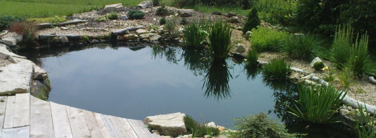 Čistěte odpadní vody přirozeně a ekologicky pomocí kořenové čističky