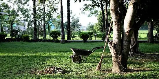Eco-friendly zahrada: Jak pěstovat, hnojit a kompostovat ovoce a zeleninu?
