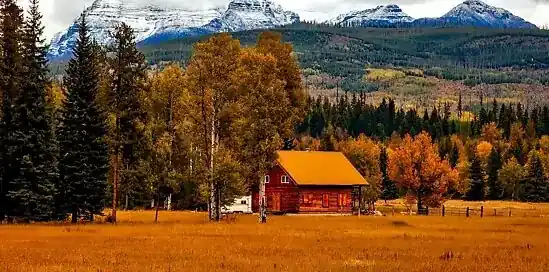 Jak postavit chatu: Všechno, co potřebujete vědět