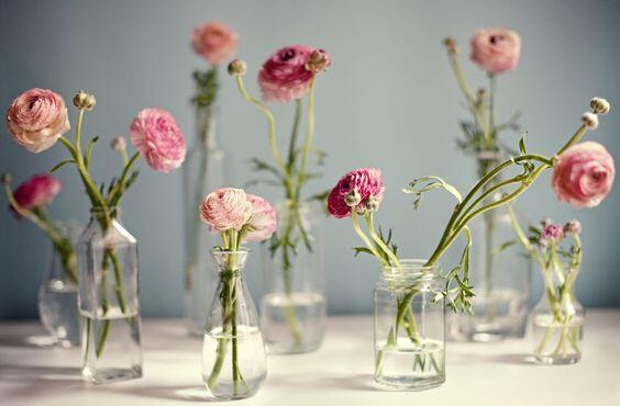Jak vybrat vhodnou vázu pro řezané květiny? | BIANO