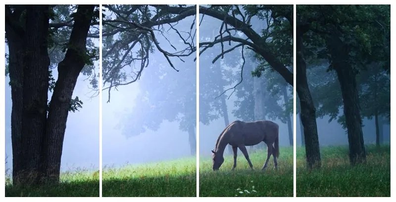 Obraz koně v přírodě (160x80 cm), 40 dalších rozměrů