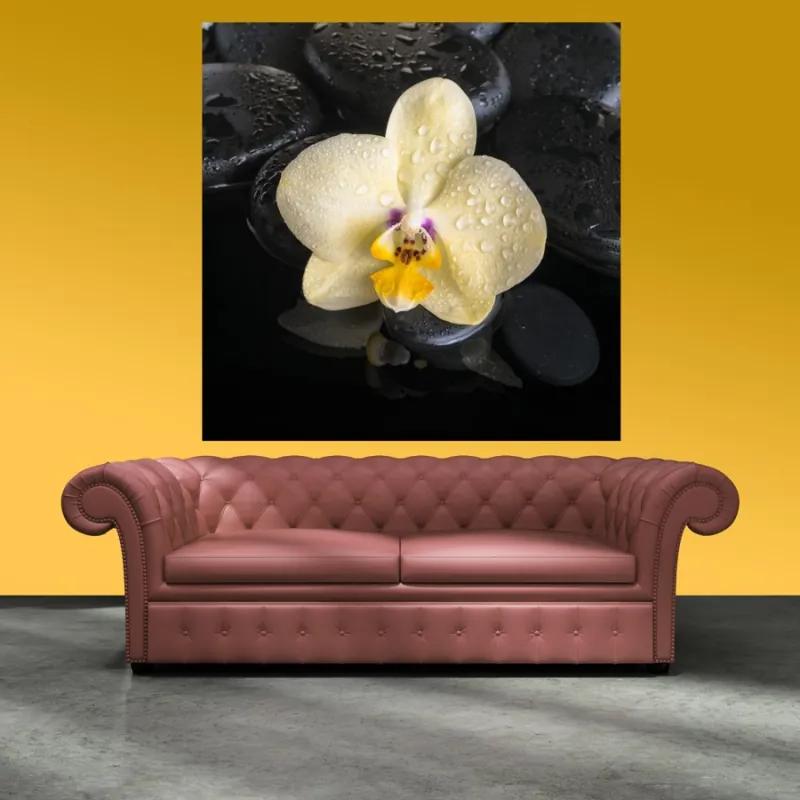 Tapeta - Žlutá orchidej (120x120 cm) - PopyDesign