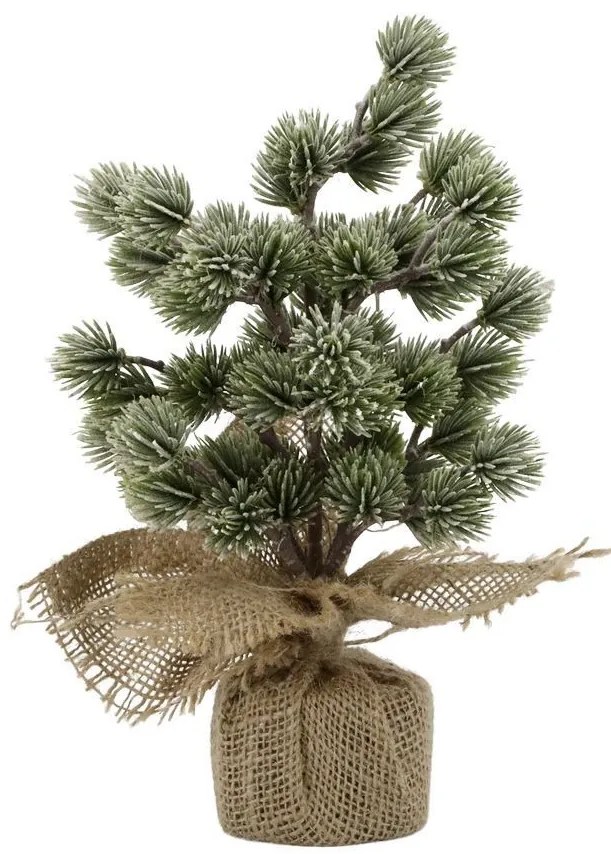 Zelený ojíněný vánoční cedrový stromek v jutě Fleur Cedar Tree - 30 cm