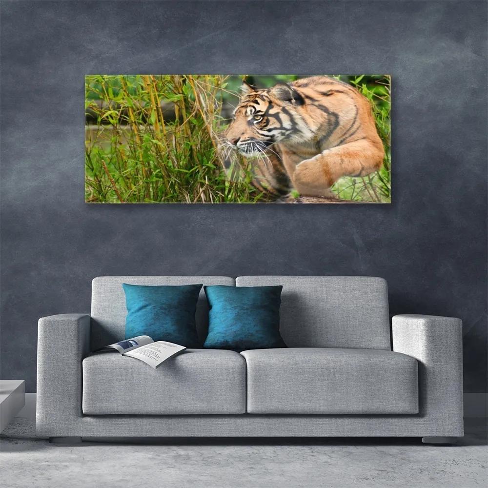 akrylový obraz Tygr Zvířata 125x50 cm