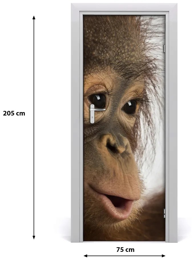 Samolepící fototapeta na dveře Mladý orangután 75x205 cm