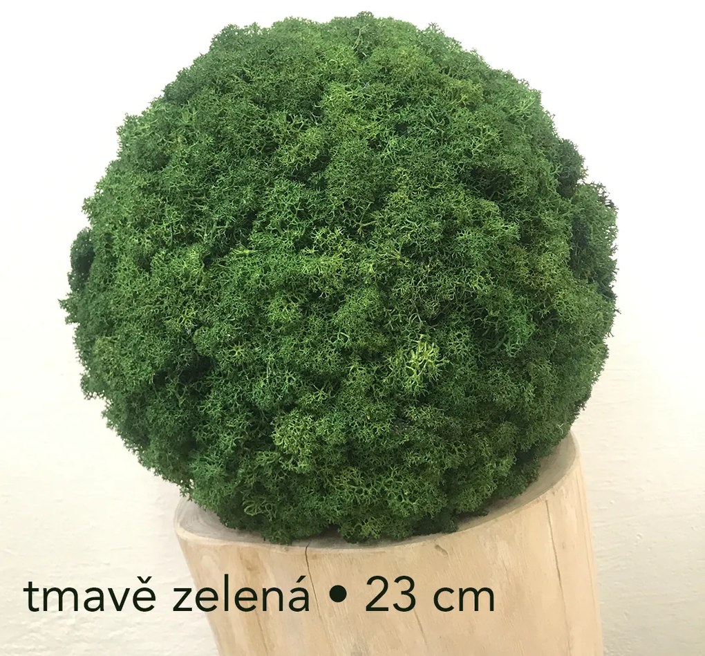 Mechová koule | sobí mech Barva lišejníku: trávově zelená, Průměr: ø 33 cm