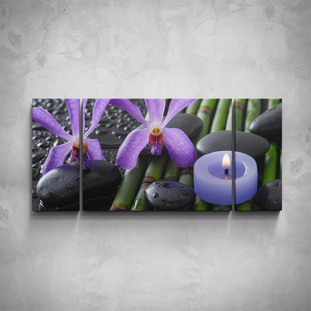 3-dílný obraz - Květy orchidejí - PopyDesign