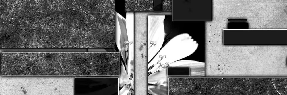 Obraz květinová abstrakce v černobílém provedení - 120x40 cm