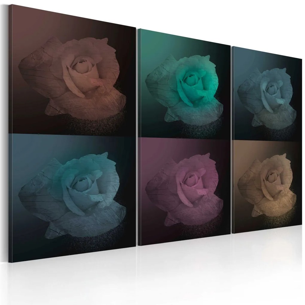 Obraz - Six shades of rose - 120x80