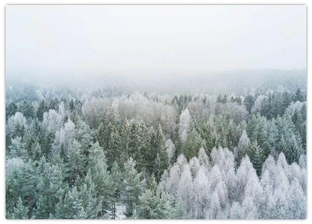 Obraz - Zasněžené vrcholky lesů (70x50 cm)