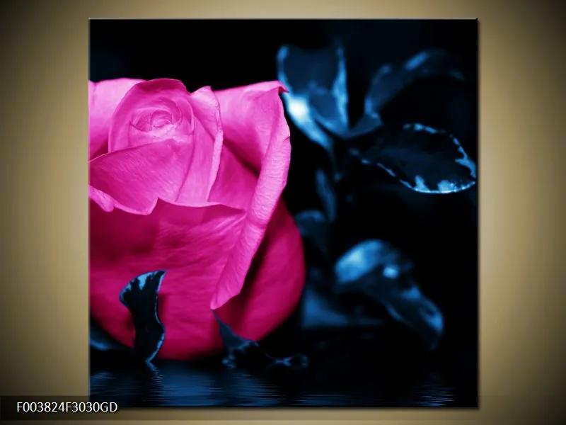 Obraz růžové růže  (), 40 dalších rozměrů