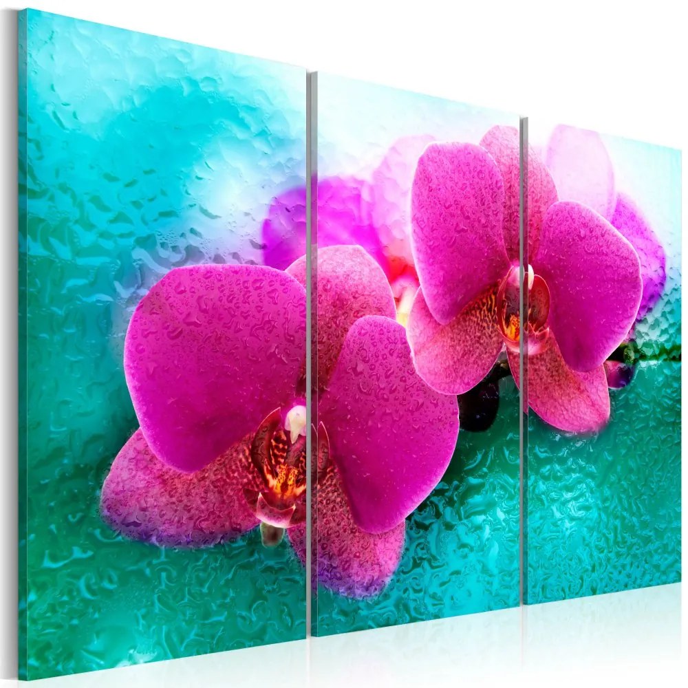 Obraz na plátně Bimago - Tyrkys a orchidea 60x40 cm