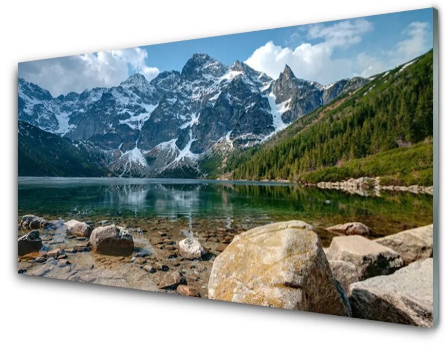 Plexisklo-obraz Hory Les Jezero Kameny 100x50 cm