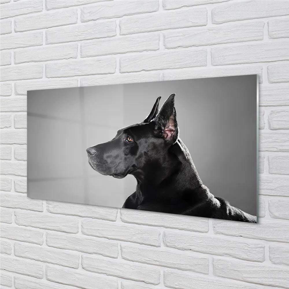 akrylový obraz Černý pes 100x50 cm