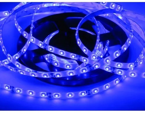 ECOLIGHT LED pásek - SMD 2835 - 5m - 60LED/m - 4,8W/m - IP65 - modrý