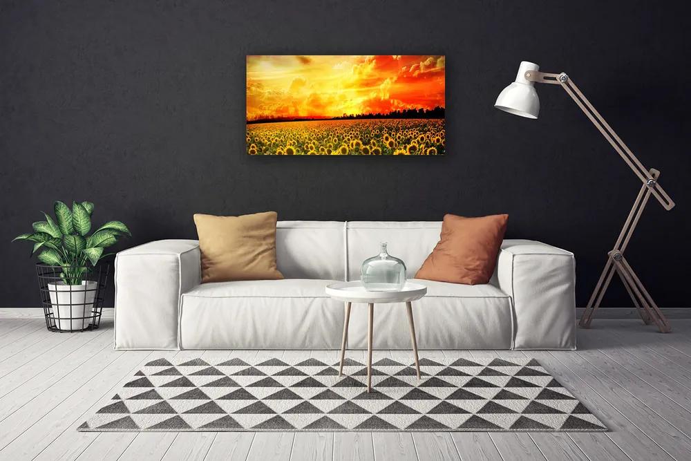 Obraz na plátně Louka Slunečnice Květiny 125x50 cm