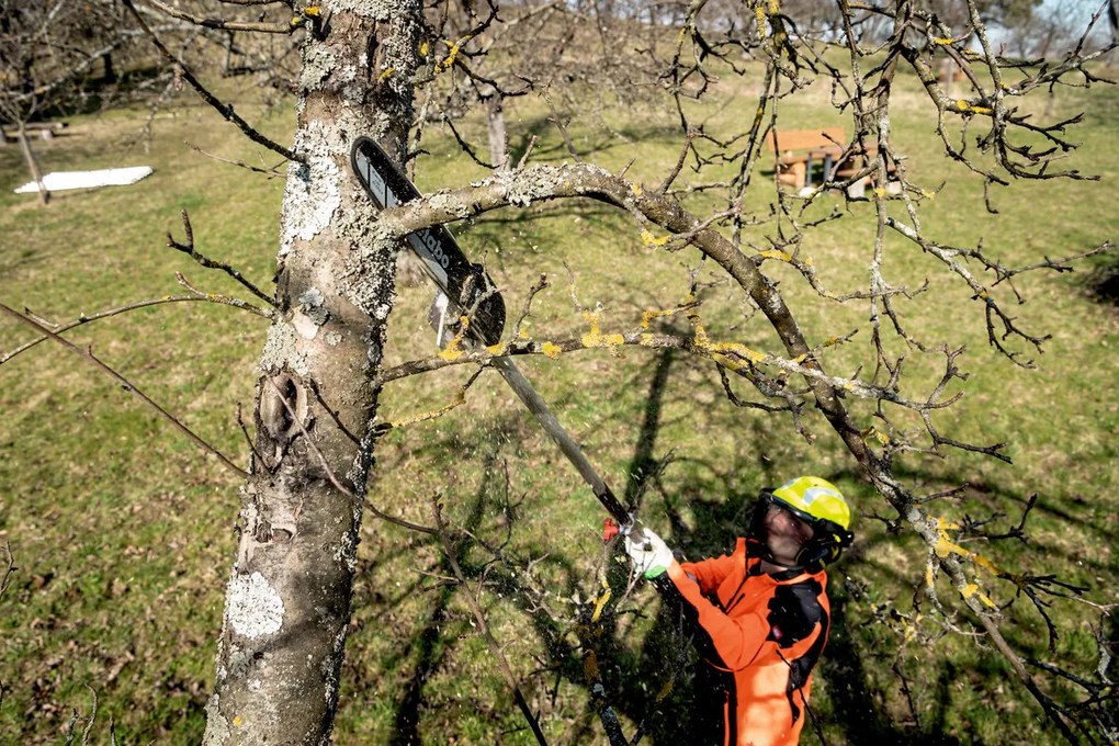 Nástavec s vyvětvovací pilou Metabo MA-MS 25