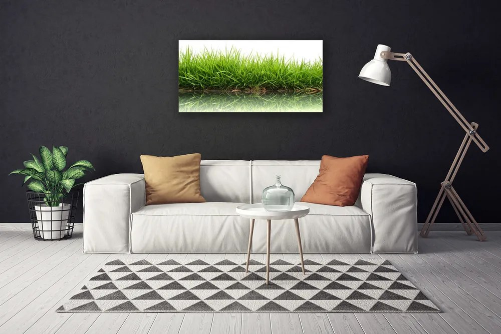 Obraz na plátně Tráva Voda Příroda Rostlina 100x50 cm