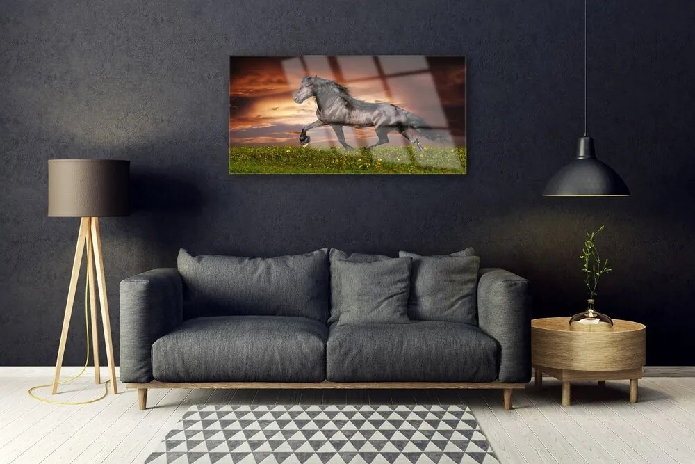 akrylový obraz Černý Kůň Louka Zvířata 100x50 cm