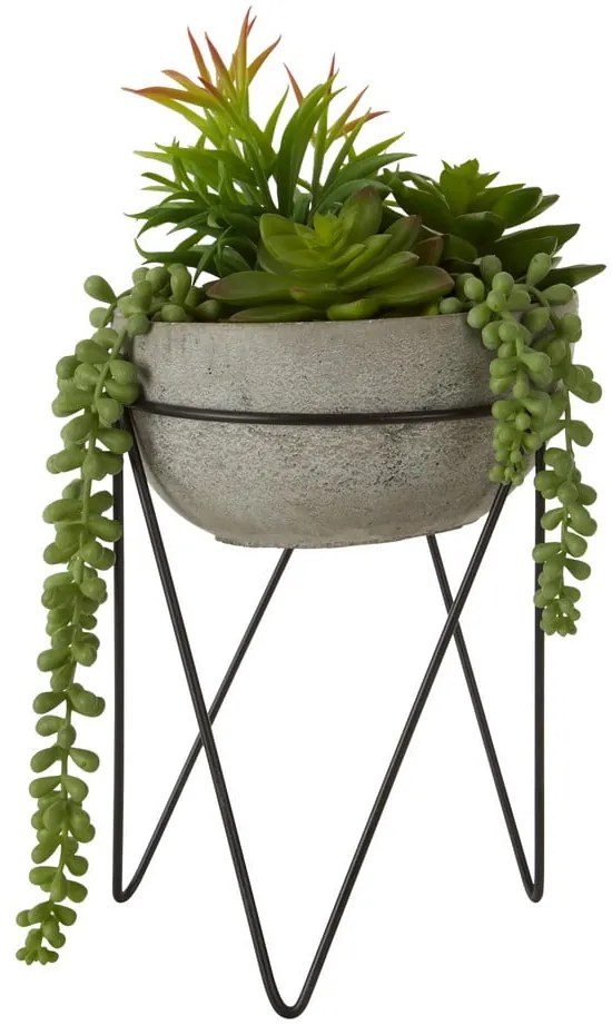 Umělý sukulent (výška 36 cm) Fiori – Premier Housewares