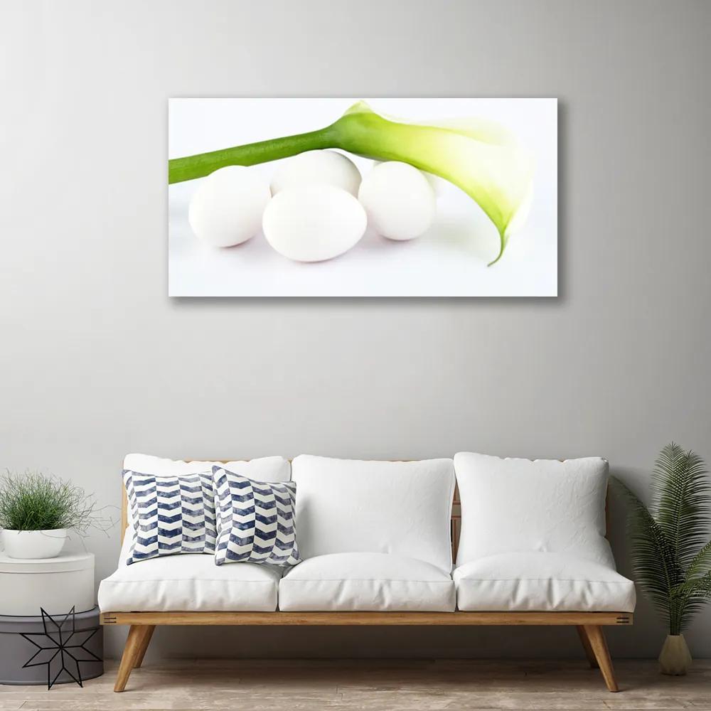 Obraz na plátně Vajíčka 140x70 cm