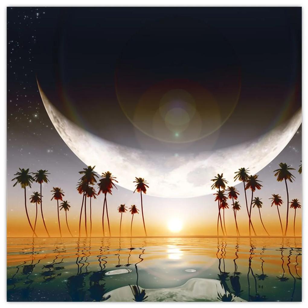 Obraz - Měsíc nad palmami (30x30 cm)