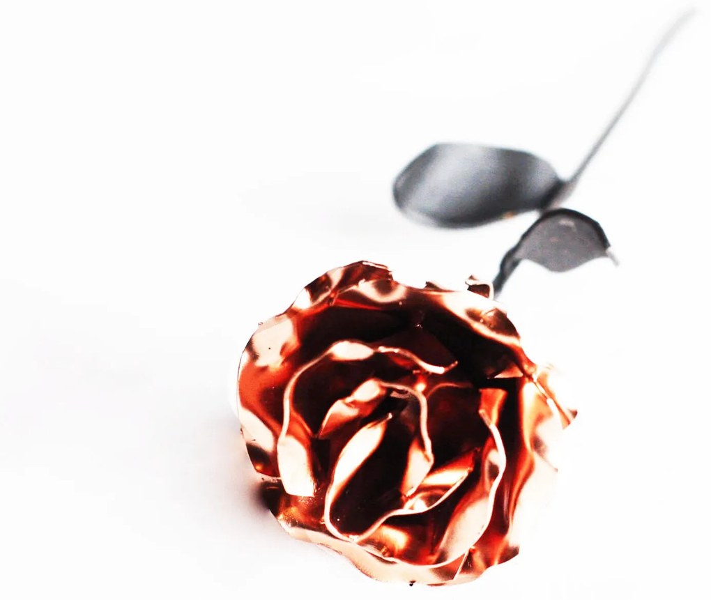 Keltská růže - měděná - L (21 cm)