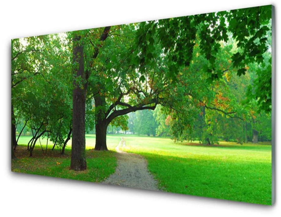 akrylový obraz Stezka Stromy Příroda 100x50 cm