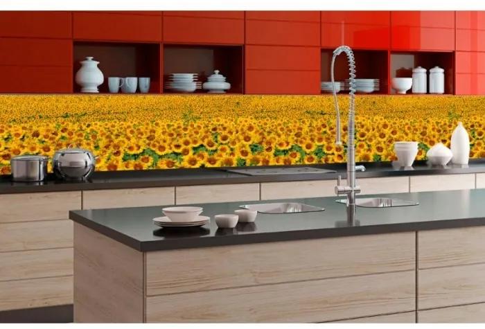 DIMEX | Fototapeta do kuchyně Lány slunečnic KI-350-030 | 350 x 60 cm | zelená, žlutá, hnědá