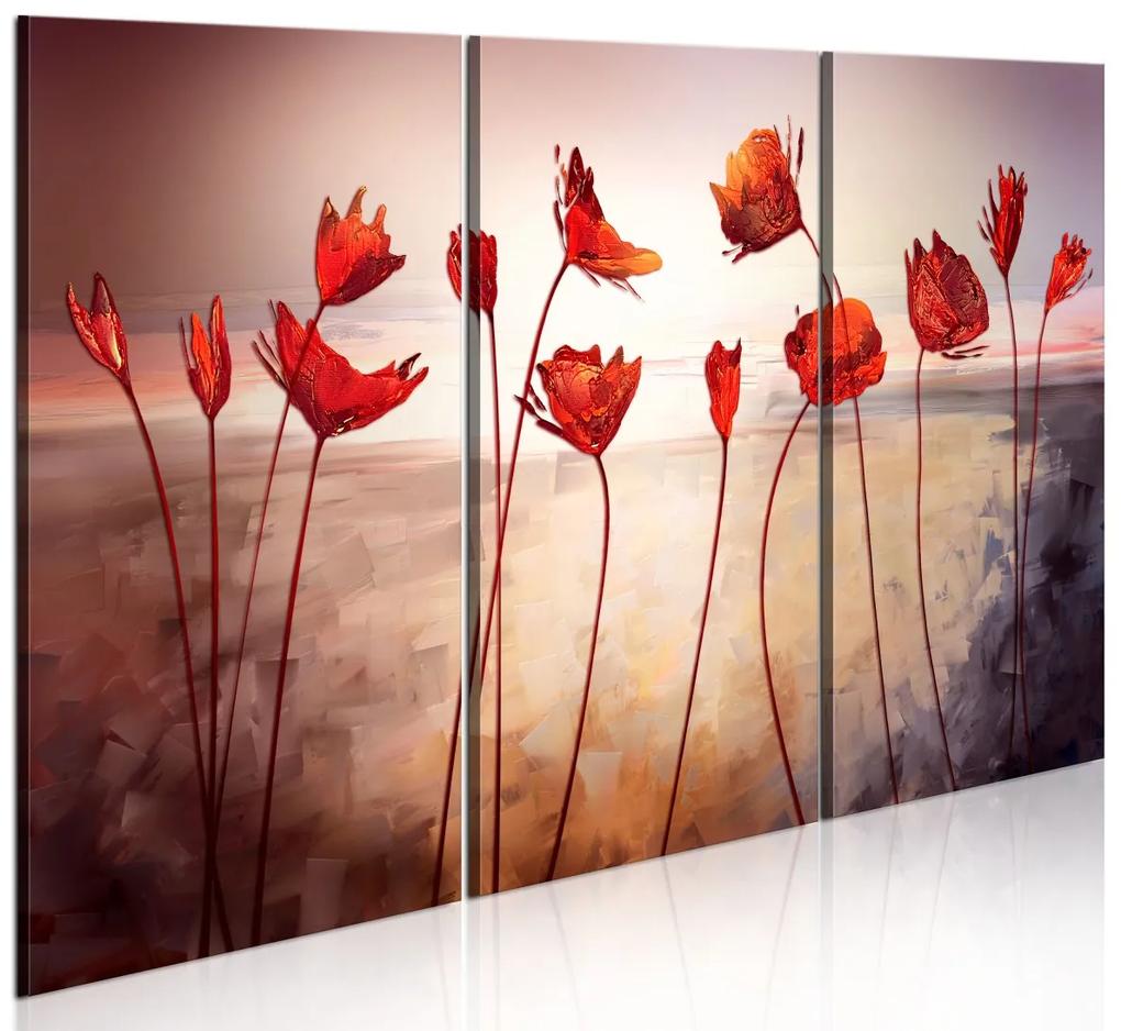 Obraz - Bright red poppies - 120x80