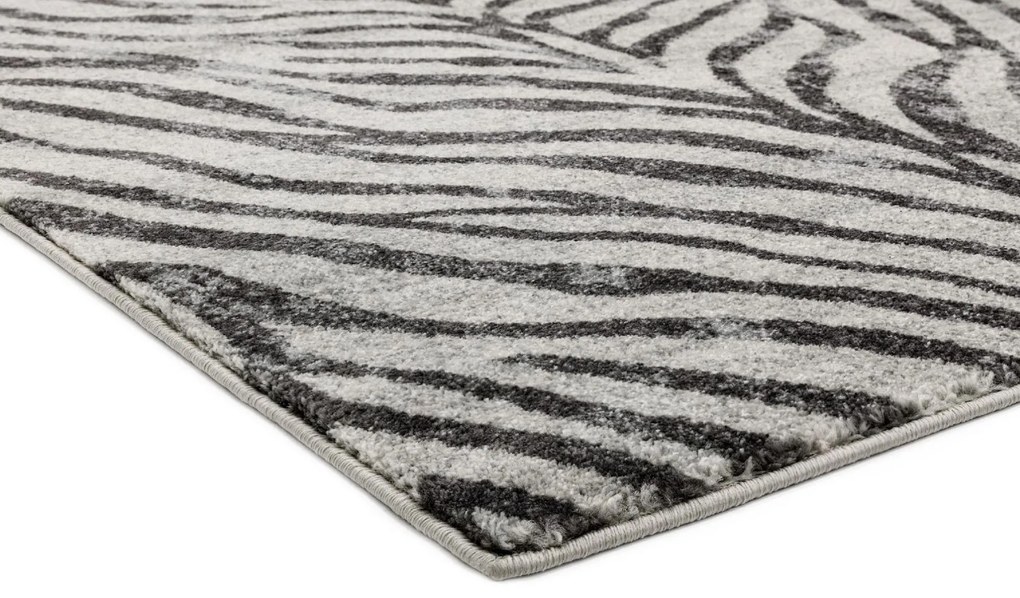 Šedý koberec Dinamo Zebra Grey Rozměry: 120x170 cm