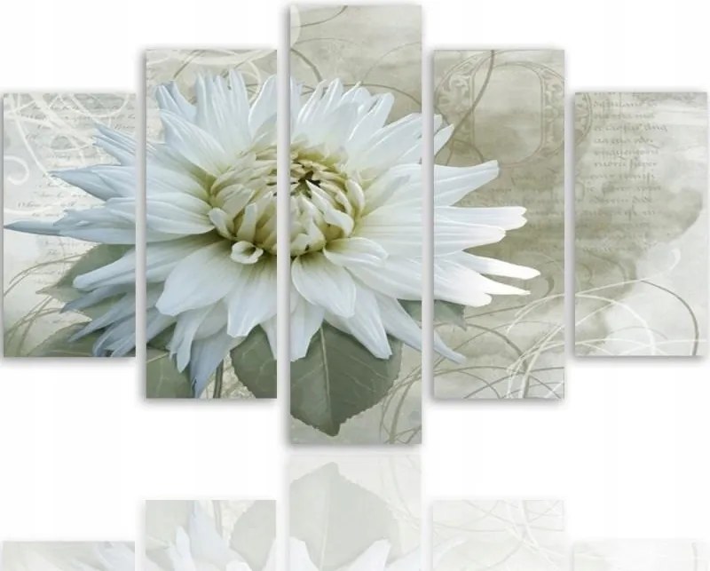 Moderní Obraz 5 dílů Canvas, Bílý květ 250x120