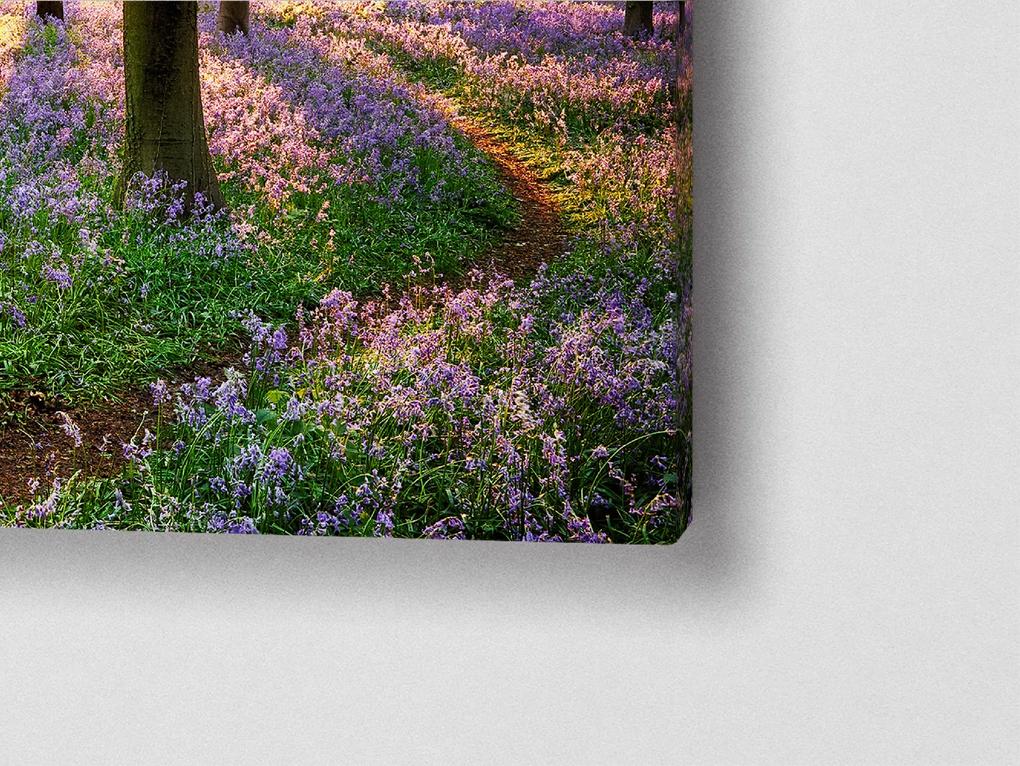 Liox Obraz lesní svit Rozměr: 150 x 100 cm