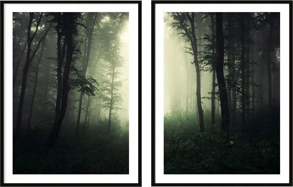 Obraz Plakáty V Rámu 53x73 cm Diptych Sada 2 obrazů Temný les P2087