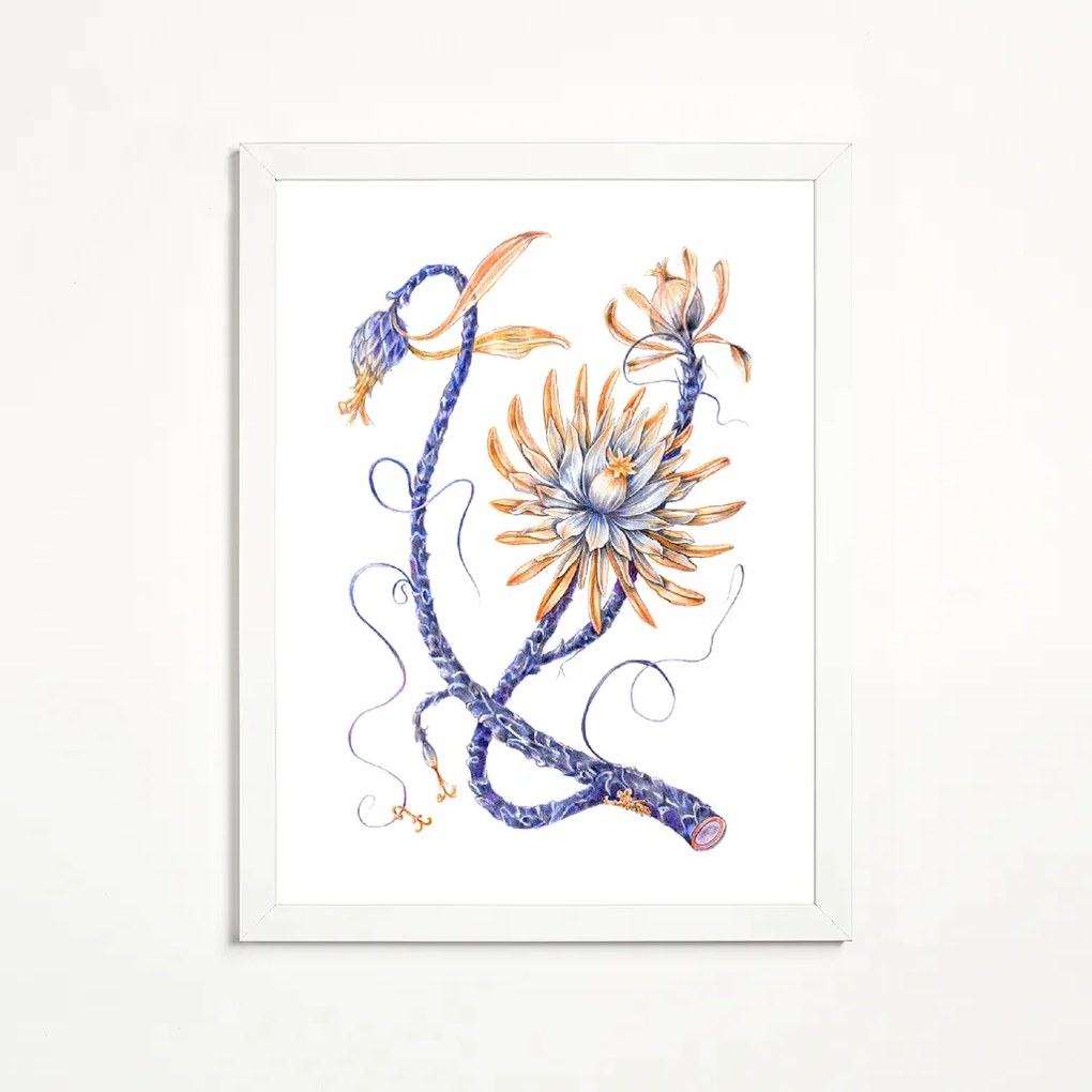 Filip Šenkeřík | Pouštní kvítí Rám: Černý, Velikost: 30 x 20 cm