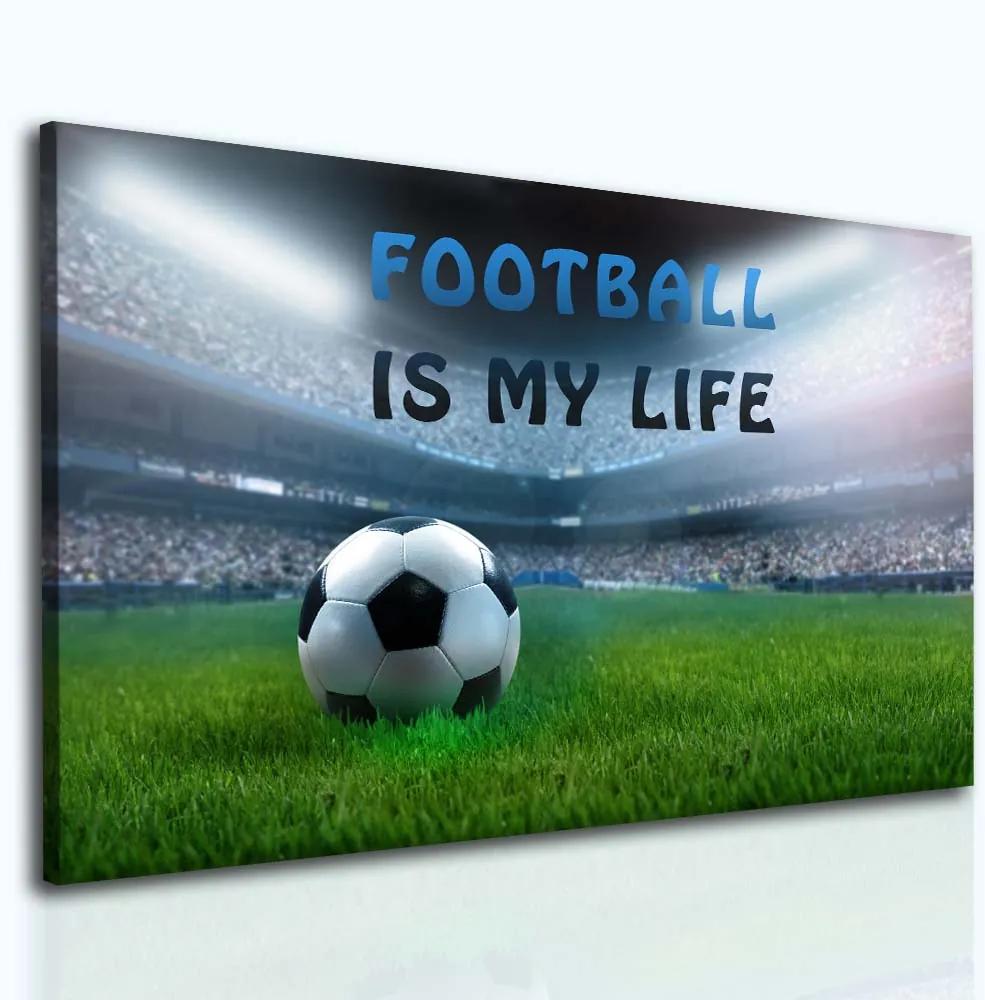 Obraz fotbal je můj život Velikost (šířka x výška): 40x30 cm