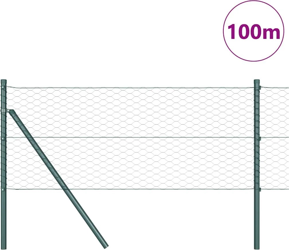 Hexagonální kotvení plotu 100 x 0,6 m Ocel potažená PVC Zelená 3352738