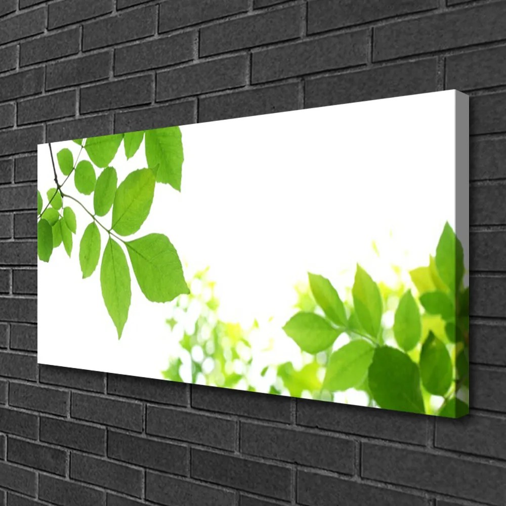 Obraz na plátně Plátky Rostlina Příroda 120x60 cm
