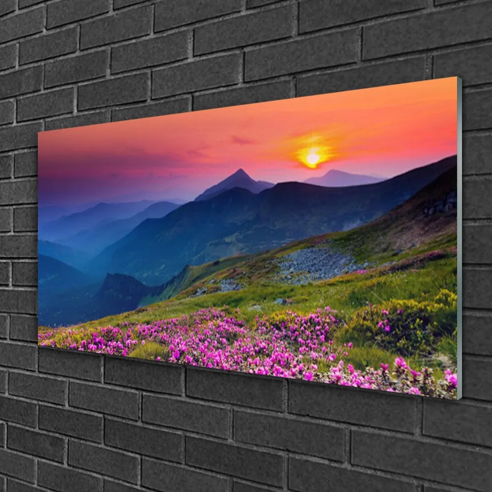 Obraz na skle Hory Louka Květiny Krajina 125x50 cm