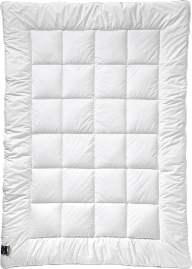 XXXLutz CELOROČNÍ PŘIKRÝVKA, 135/200 cm, polyester Billerbeck - Přikrývky - 003279011301