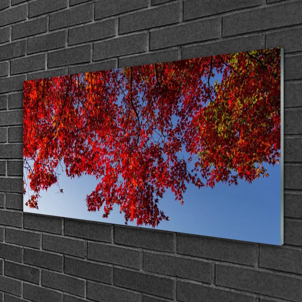 Obraz na skle Strom Listy Větve Příroda 100x50 cm