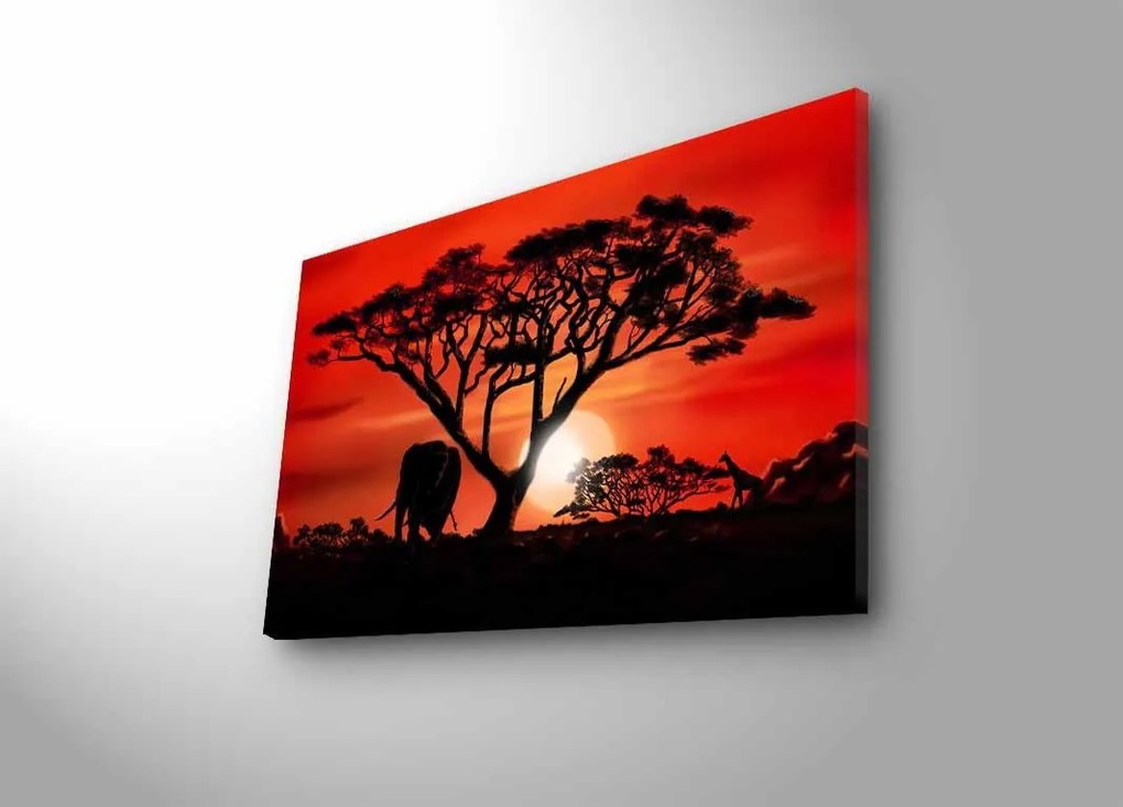 Obraz s LED osvětlením AFRICKÁ KRÁSA 53 45 x 70 cm