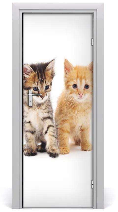 Samolepící fototapeta na dveře Šedá a rudá kočka 75x205 cm