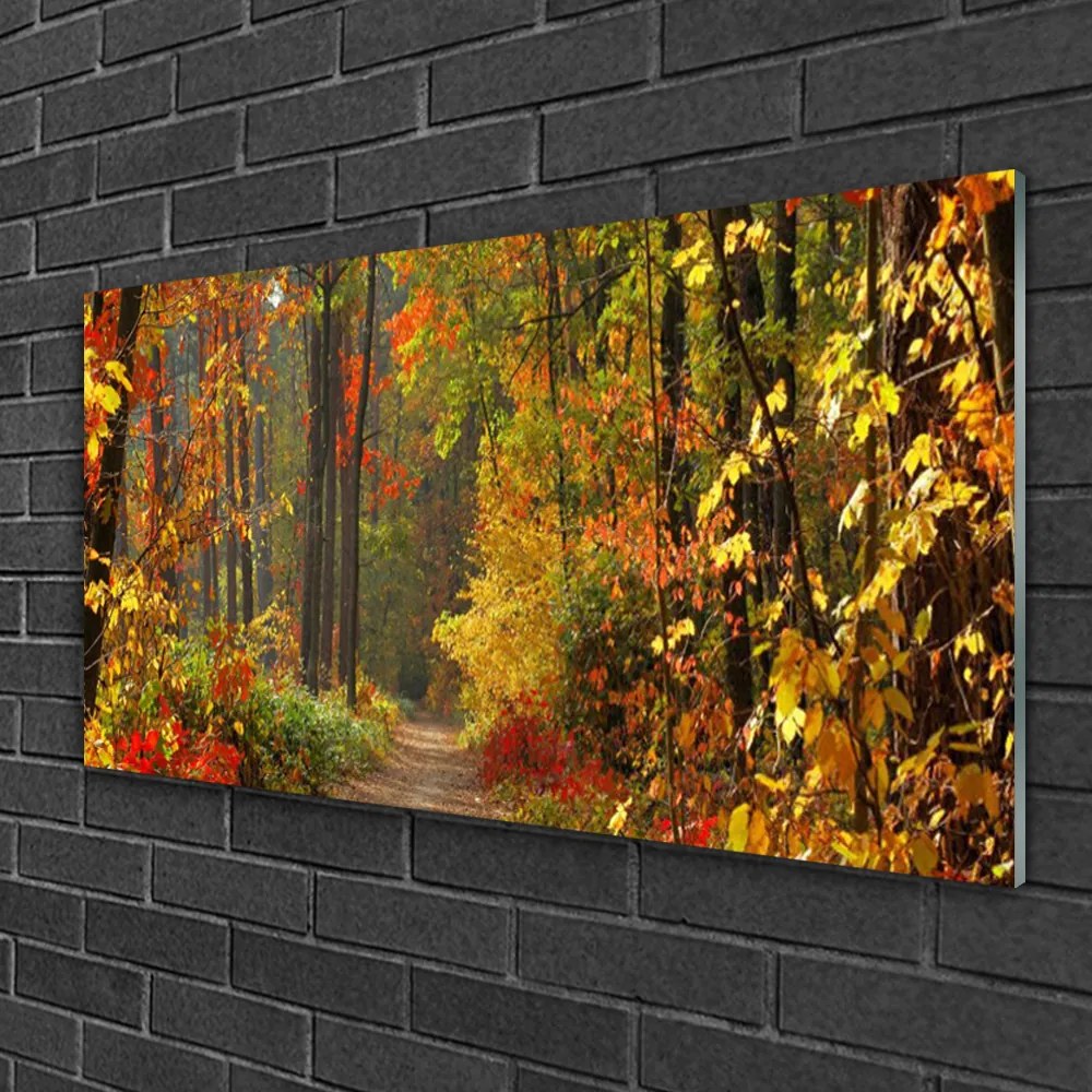 Obraz na skle Les Příroda Podzim 125x50 cm