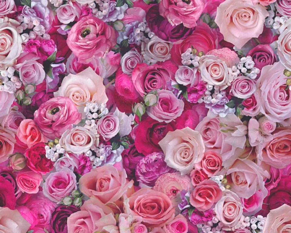 Vliesová tapeta fialové růže 32722-1 / Tapety na zeď 327221 Urban Flowers (0,53 x 10,05 m) A.S.Création