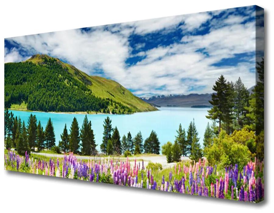 Obraz na plátně Hora Les Jezero Krajina 100x50cm