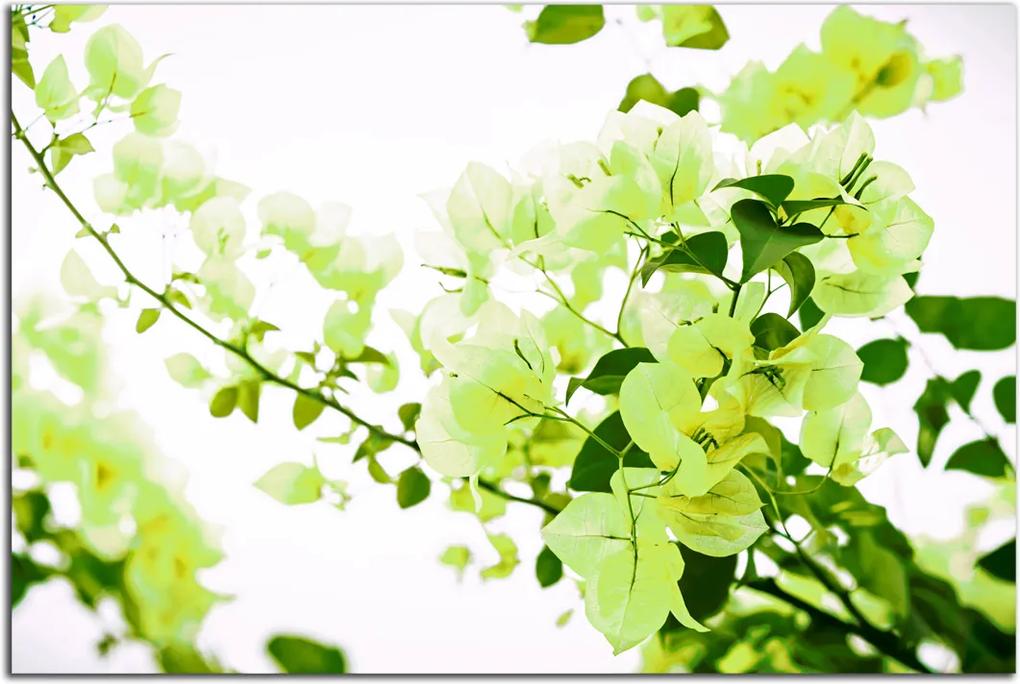 Obraz Zelené květy , vícedílný