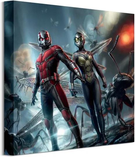 Obraz na plátně Marvel Ant-Man and bee 40x40cm WDC101178 | BIANO