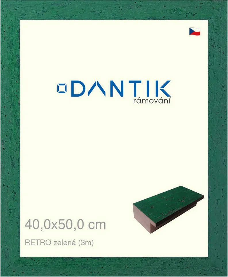 DANTIK rámeček 40x50 | RETRO zelená (Sklo Čiré)